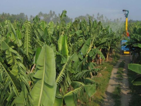 About SAGREX | Sagrex