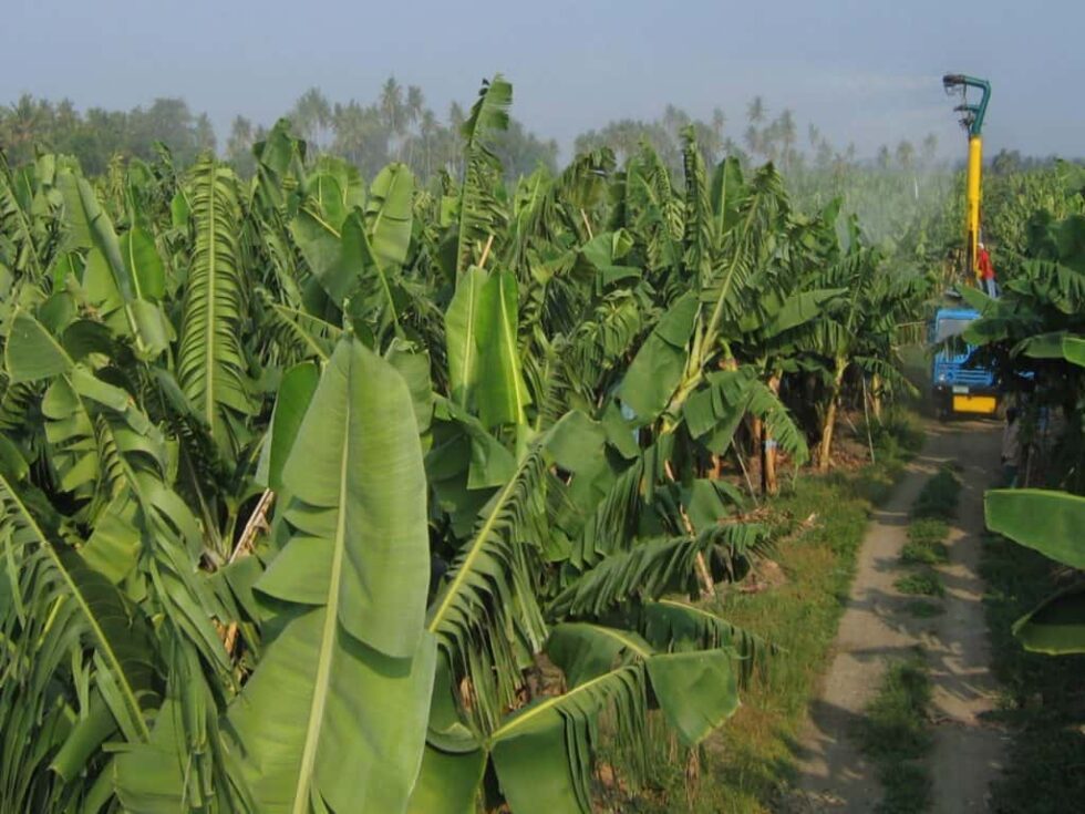 About SAGREX | Sagrex