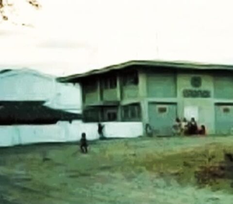 About SAGREX | Sagrex